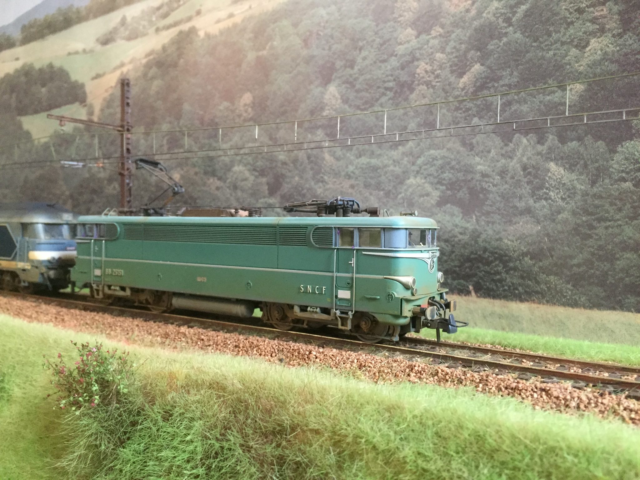 Roco 25154 BB Jacquemin Ref 43566 - La patine des trains